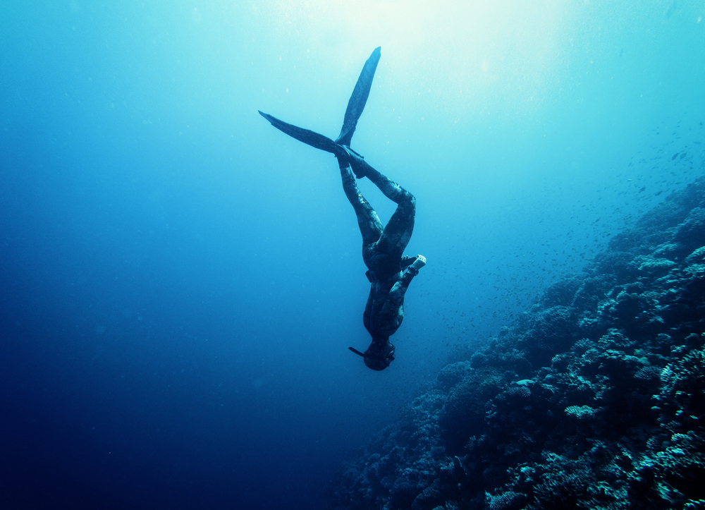 15 Notable Finds by Divers