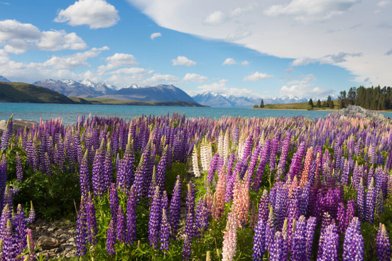 15 Real-Life Places That Inspired Famous Fictional Settings