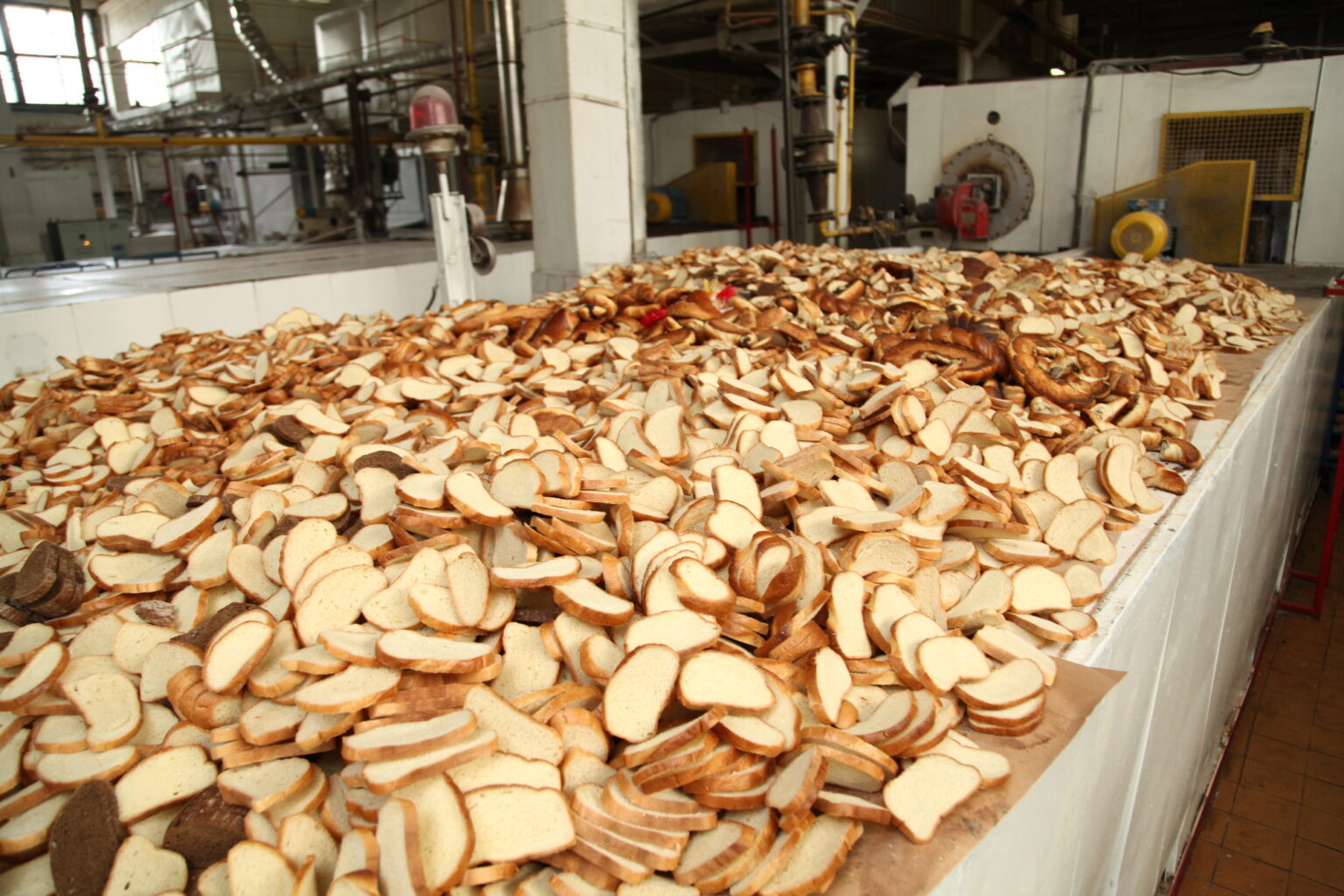 14 Ways Bread Changed Human Civilization