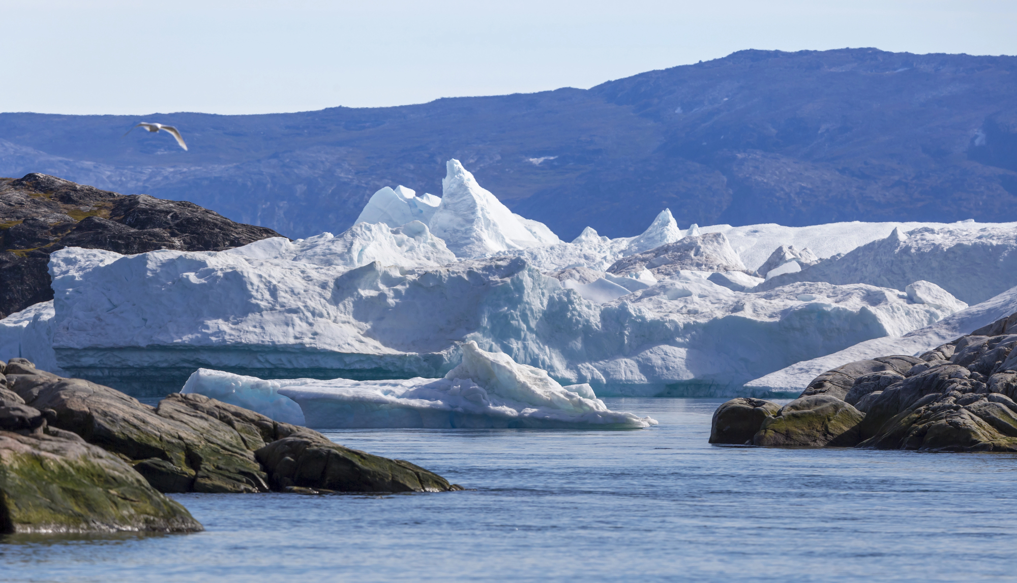 15 Things That Only Happen at the North Pole