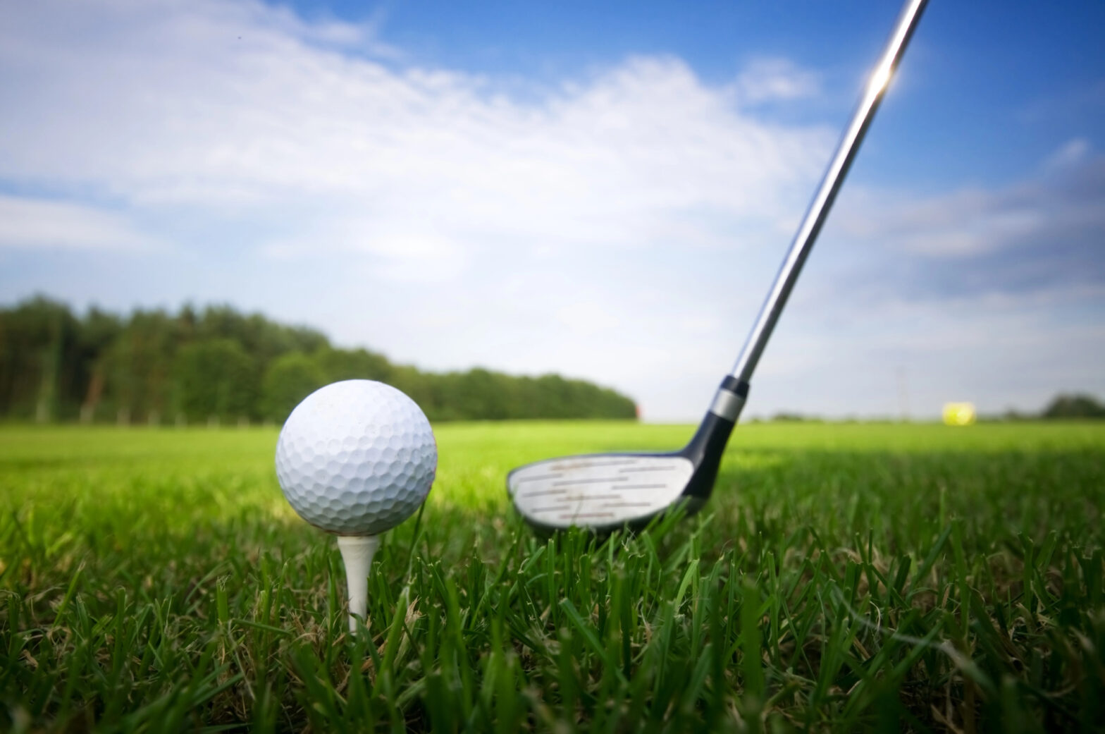 18 Longest Winning Streaks in Any Sport