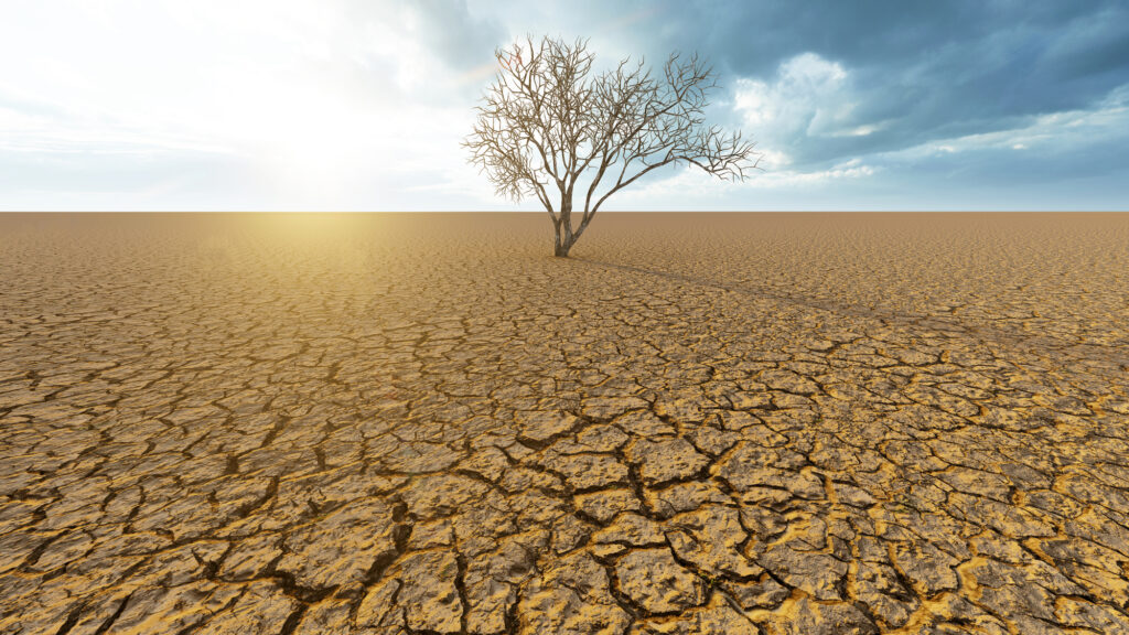 15 Things That Make Deserts One of Earth’s Deadliest Zones