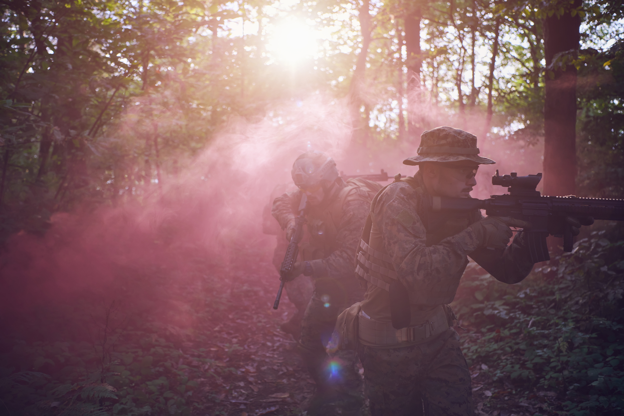 16 Battlefields Turned Into Forests
