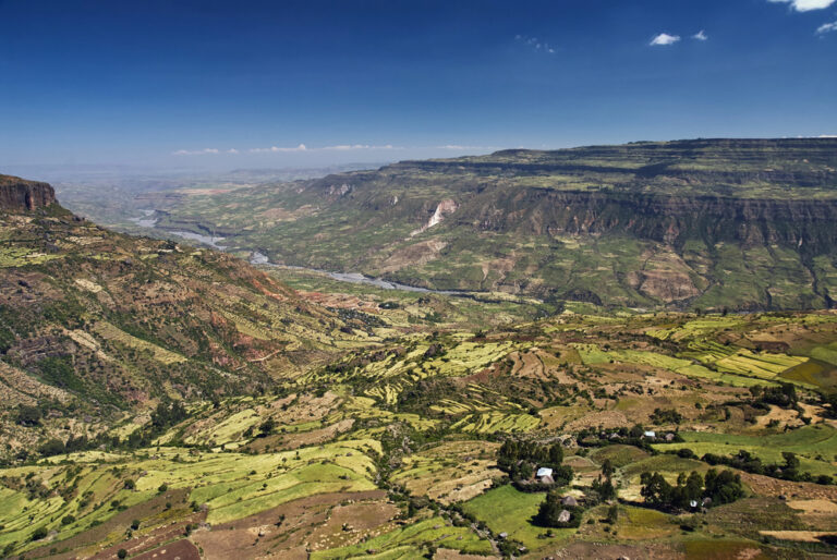 15 Languages That Are Nearly Extinct