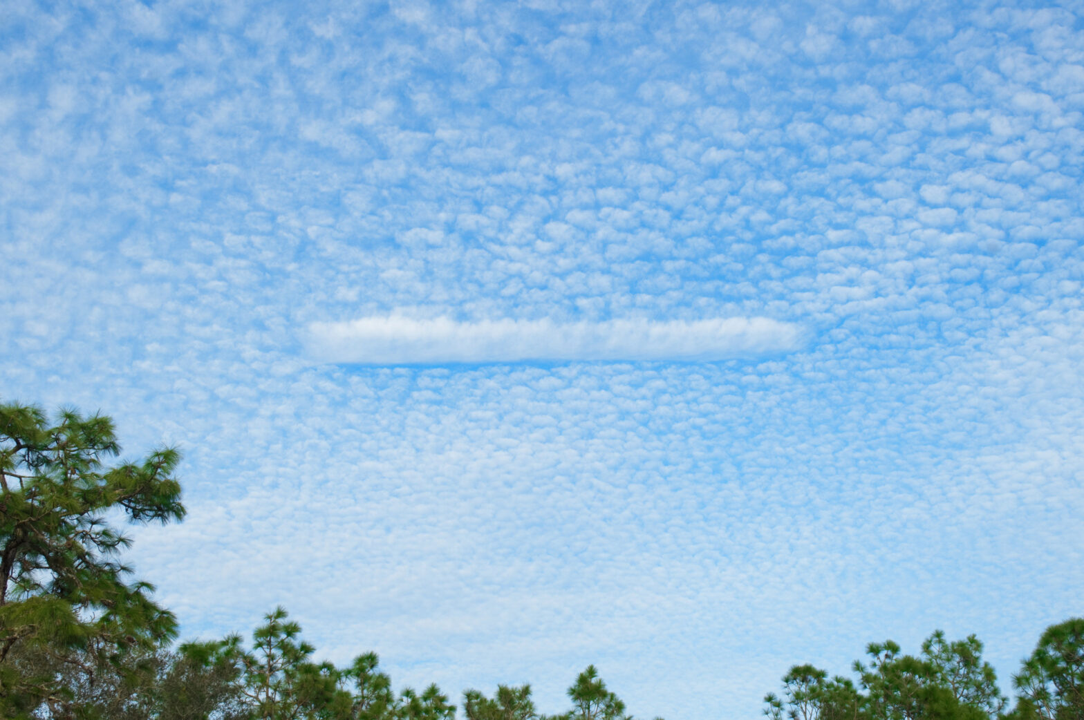 17 Rare Clouds That Blow Meteorologists' Minds