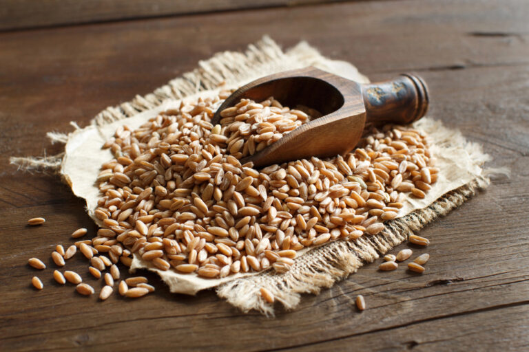 16 Ancient Grains Rediscovered in Modern Kitchens
