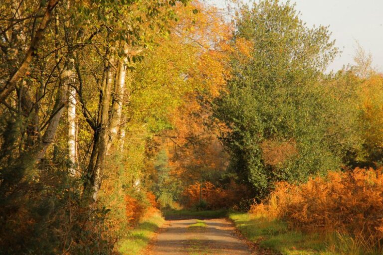 15 Real-Life Places That Inspired Famous Fictional Settings