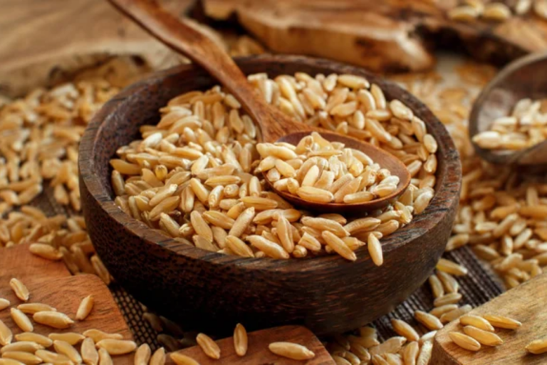 16 Ancient Grains Rediscovered in Modern Kitchens