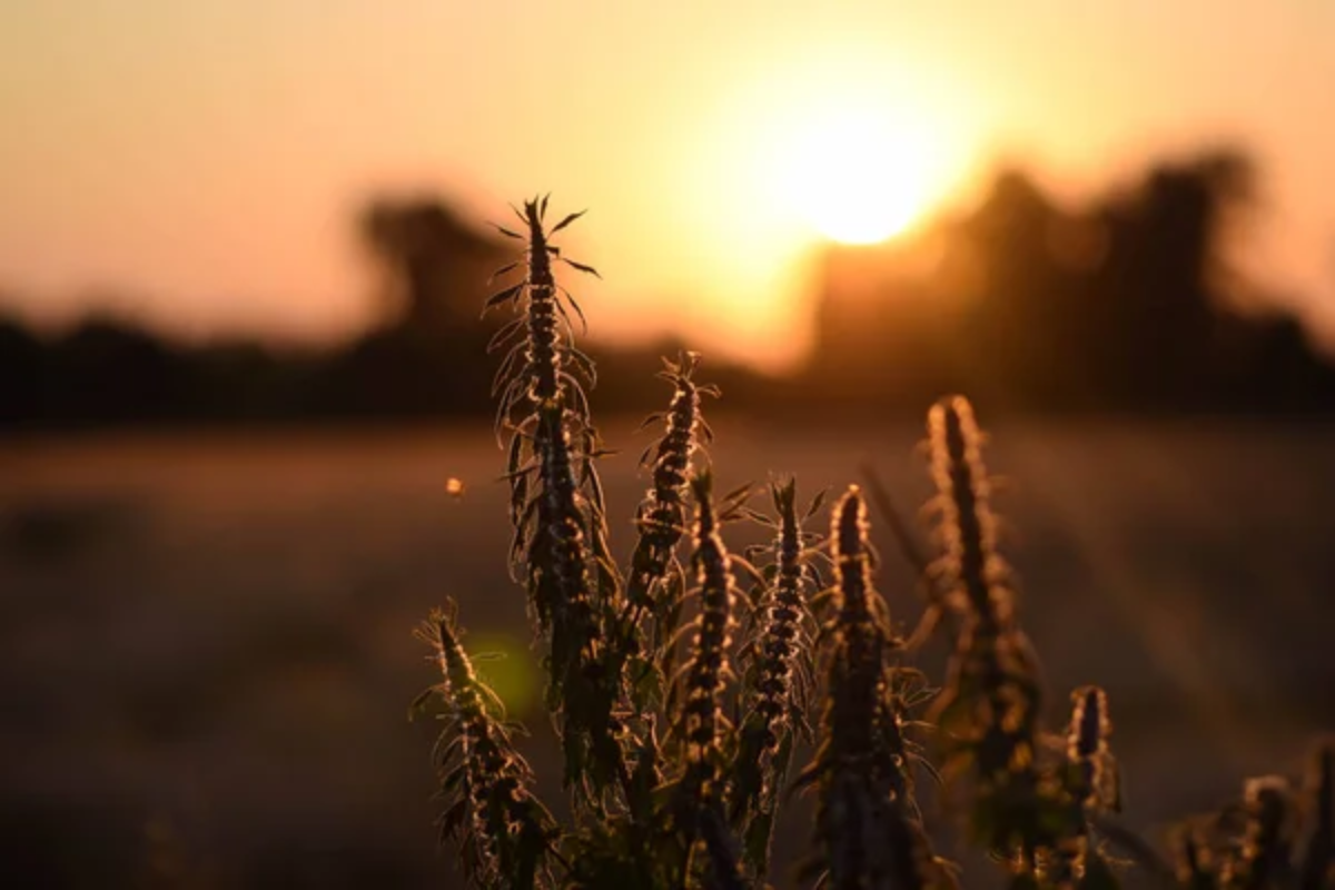 18 Photography Techniques That Instantly Improve Your Shots