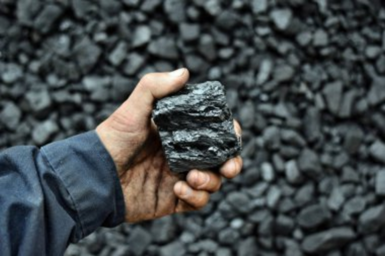 16 Common Rocks and What They Tell Us