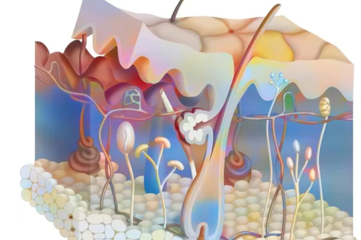 15 Body Parts You Didn't Know You Had