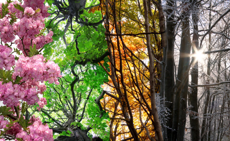 17 Ways Ancient People Told Time Without Clocks