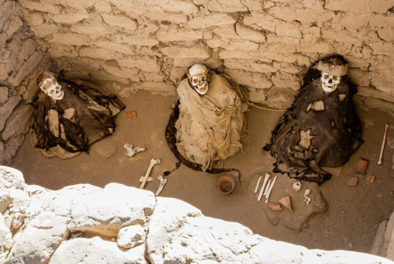 19 Burial Practices That Revealed Cultural Values