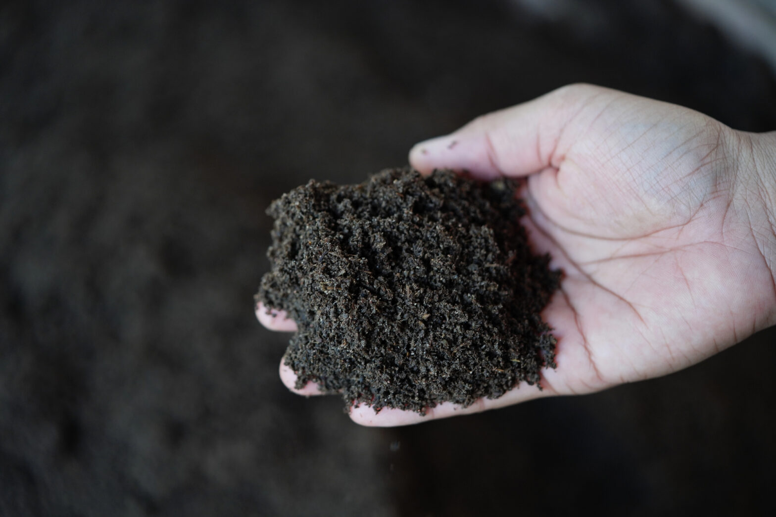 16 Ways Geography Secretly Controls What We Eat