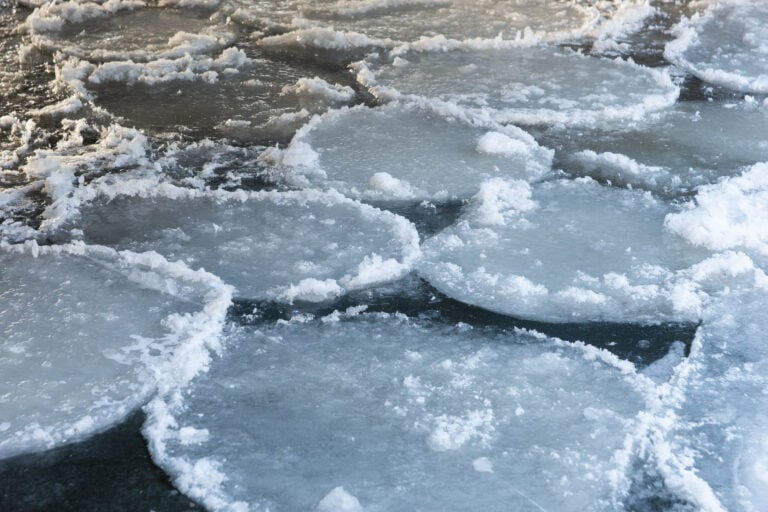18 Gravity-Defying Phenomena in Nature You Can See