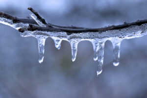 18 Gravity-Defying Phenomena in Nature You Can See