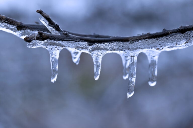18 Gravity-Defying Phenomena in Nature You Can See