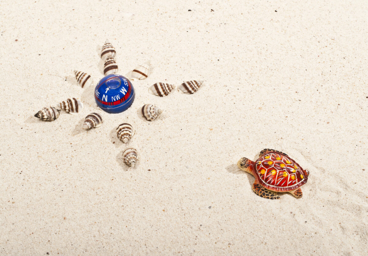 18 Natural Clues That Animals Use to Navigate