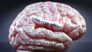 15 Memory Techniques That Actually Work