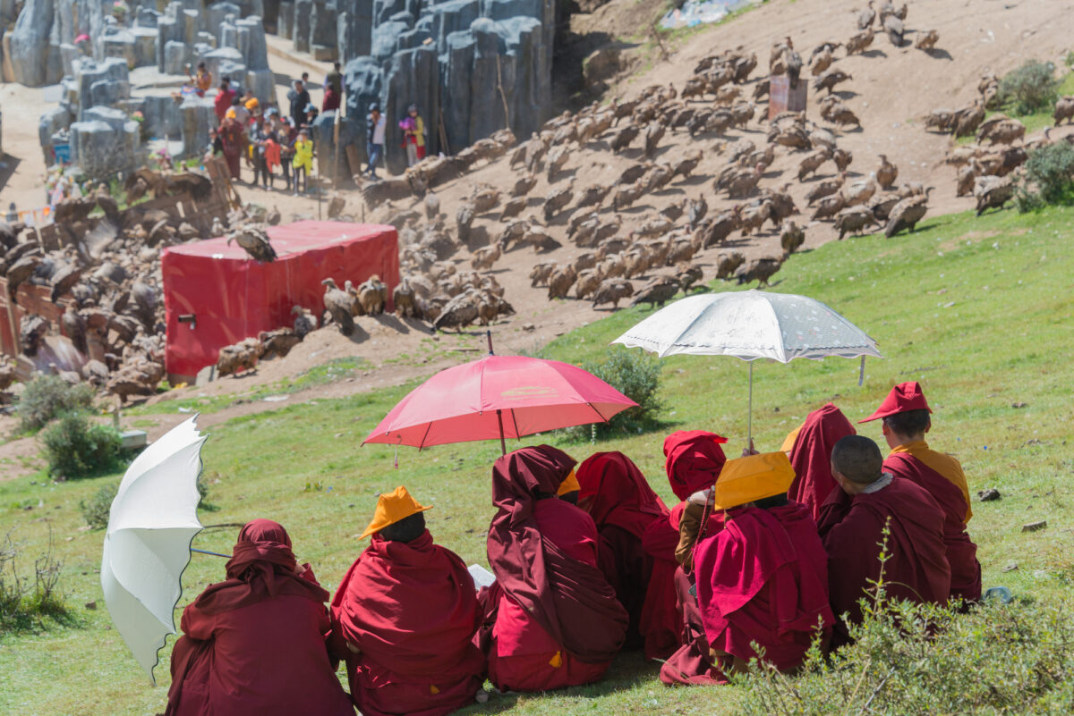 19 Burial Practices That Revealed Cultural Values