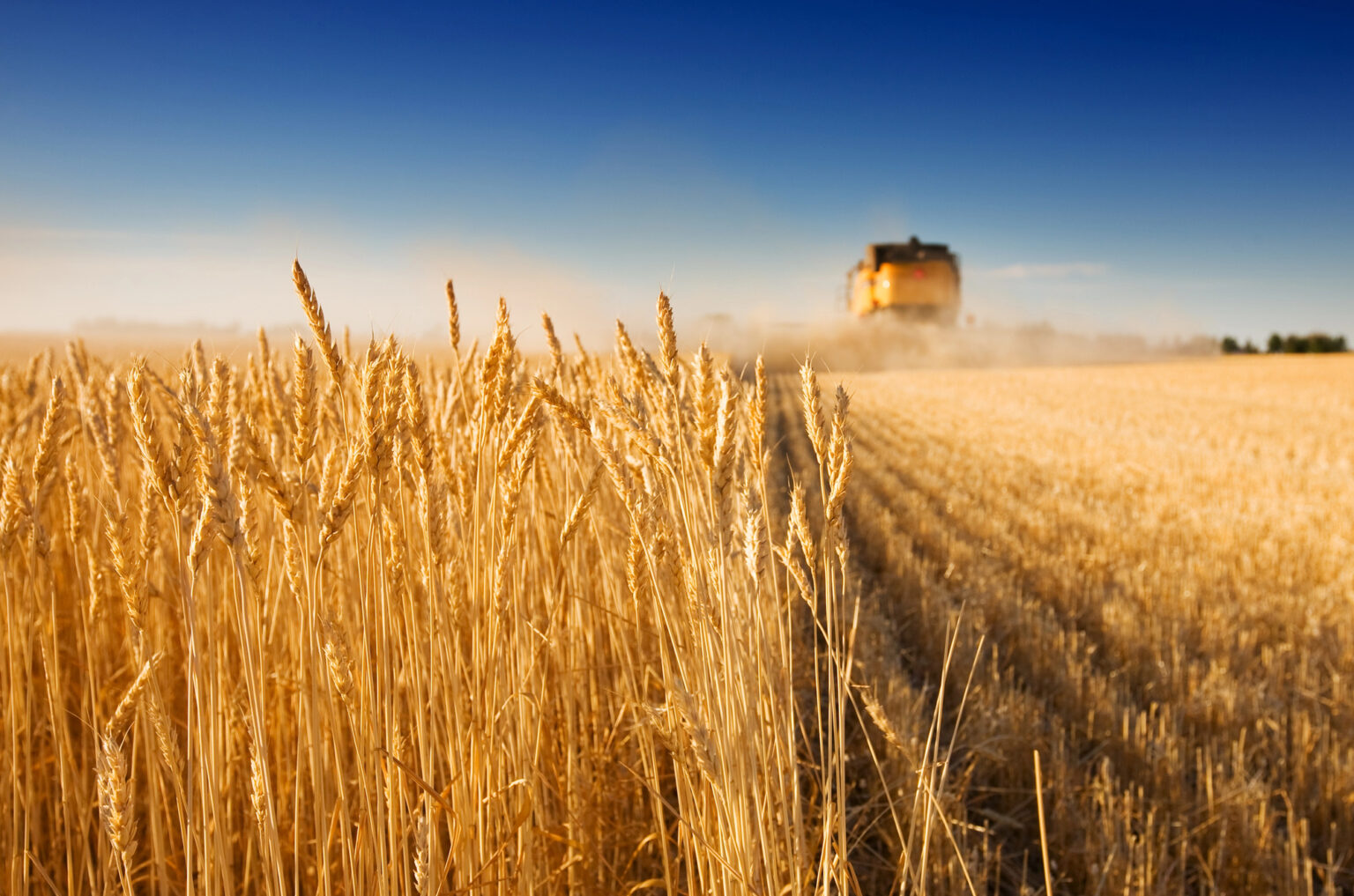 15 Ingredients That Were Once Currency