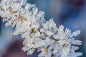 17 Patterns in Nature That Repeat Everywhere