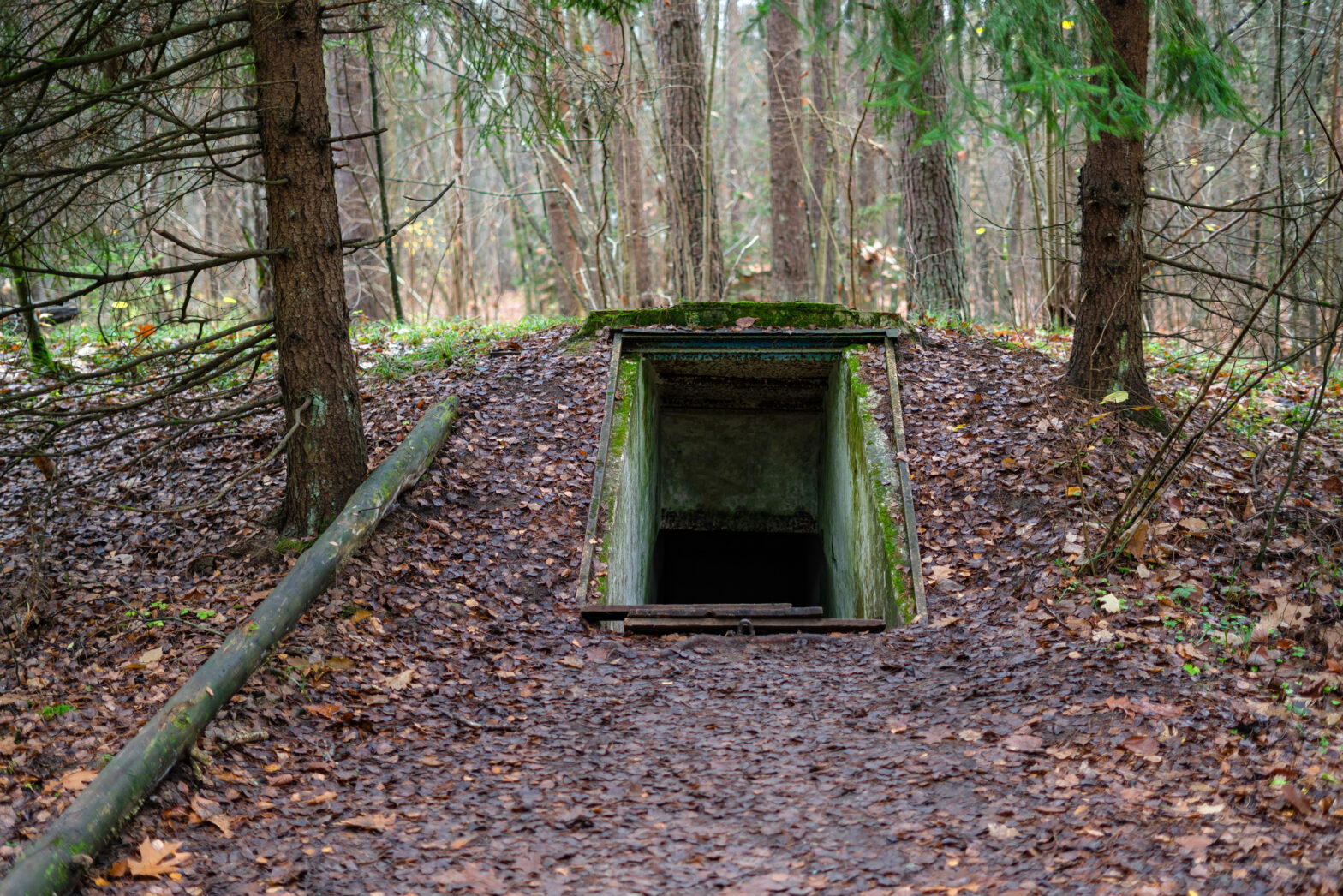 16 Amazing Stories of Missing People Found After Years