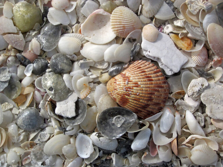 15 Natural Materials That Are Stronger Than Steel