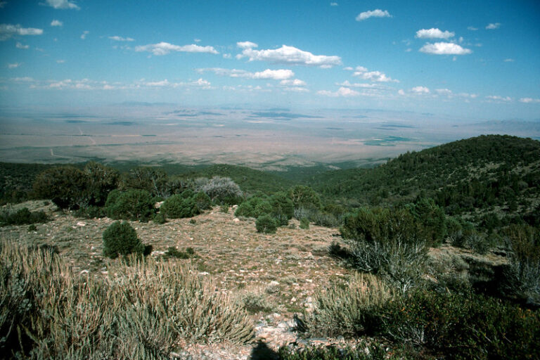 15 Largest Deserts and Their Indigenous Communities