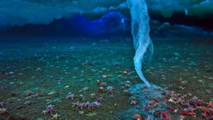 18 Rare Natural Events That Most People Never Get to See