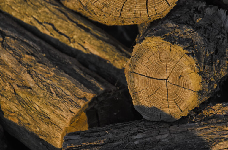 15 Natural Materials That Are Stronger Than Steel