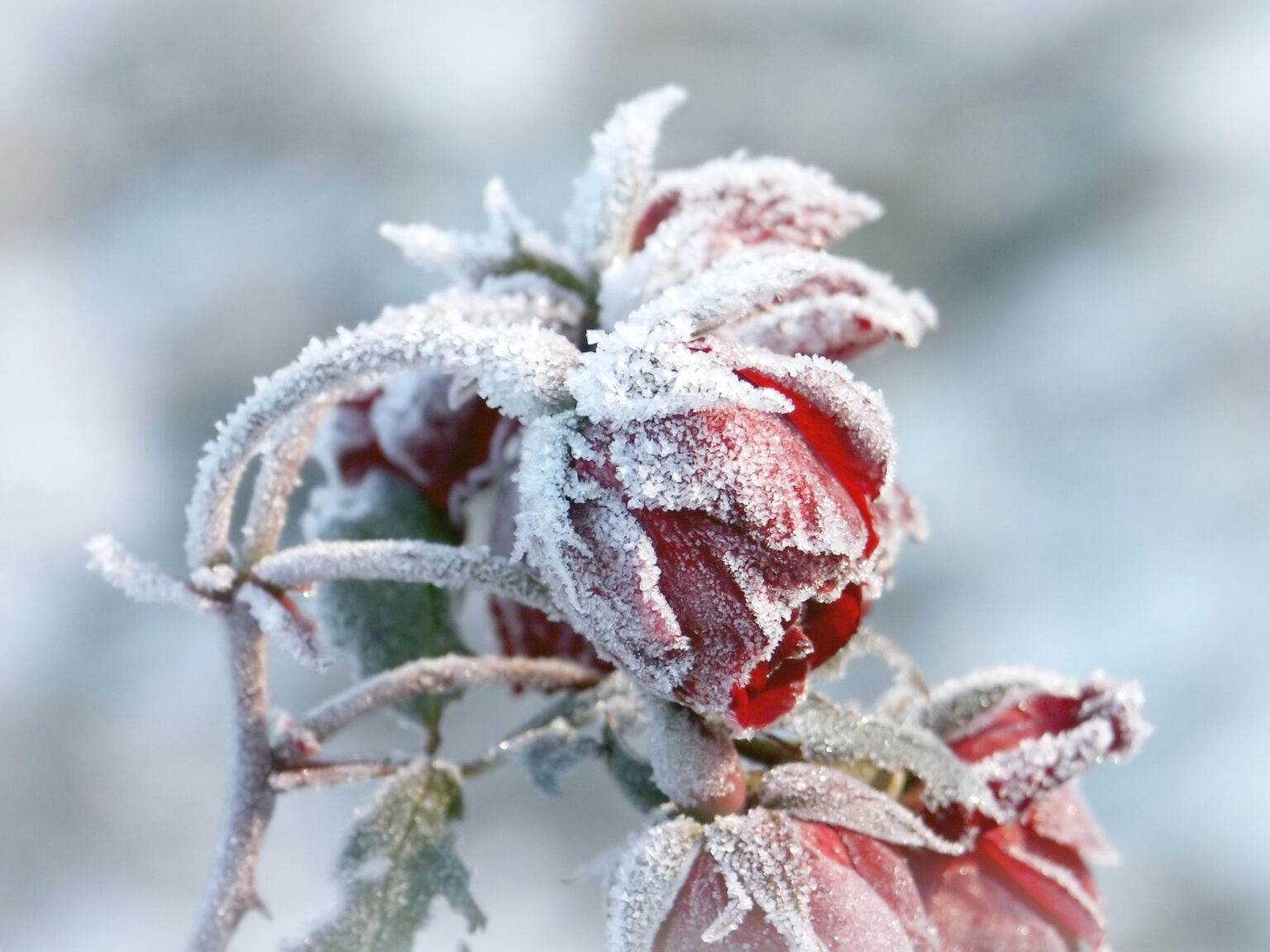 18 Rare Natural Events That Most People Never Get to See