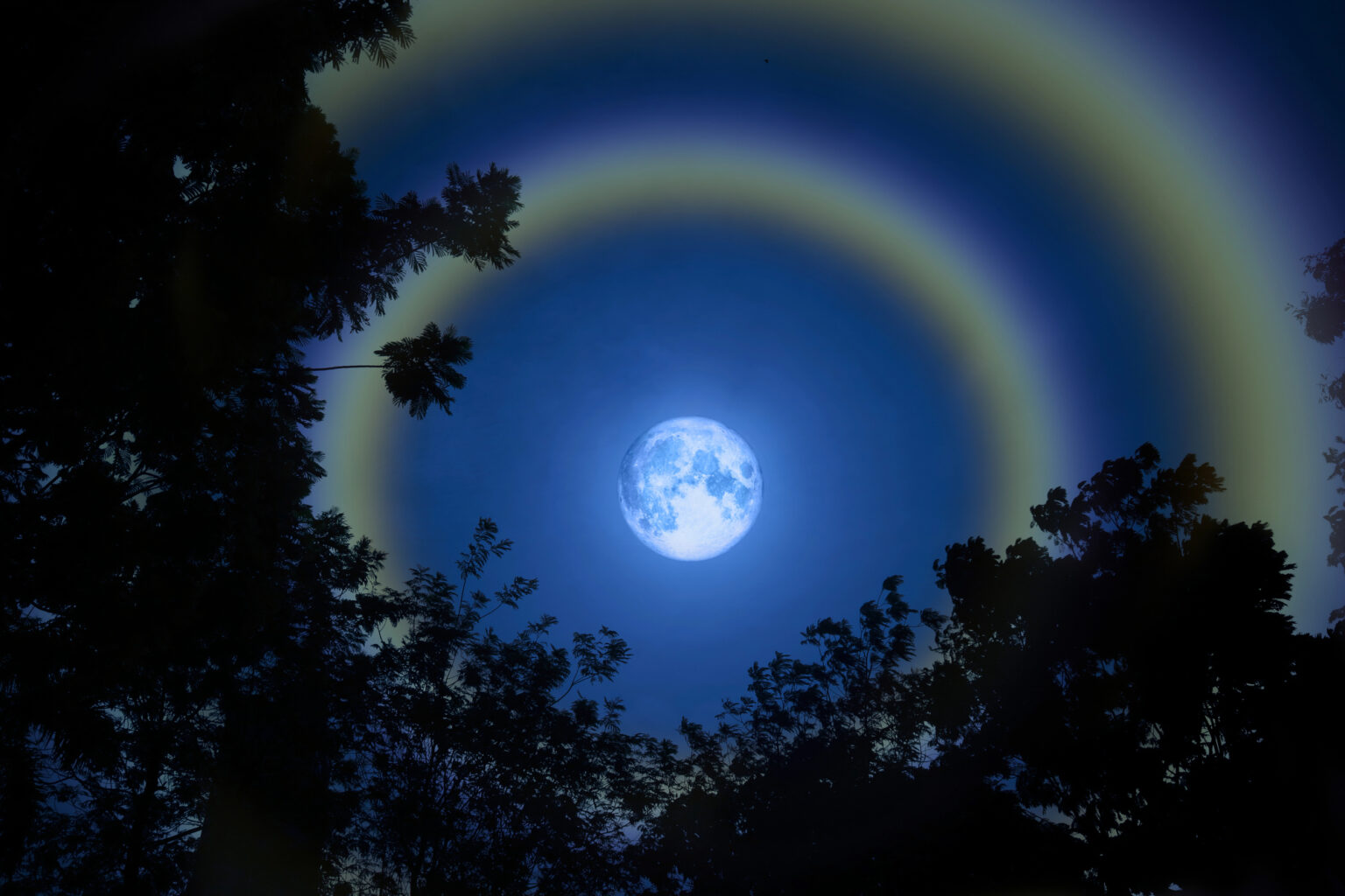 18 Rare Natural Events That Most People Never Get to See