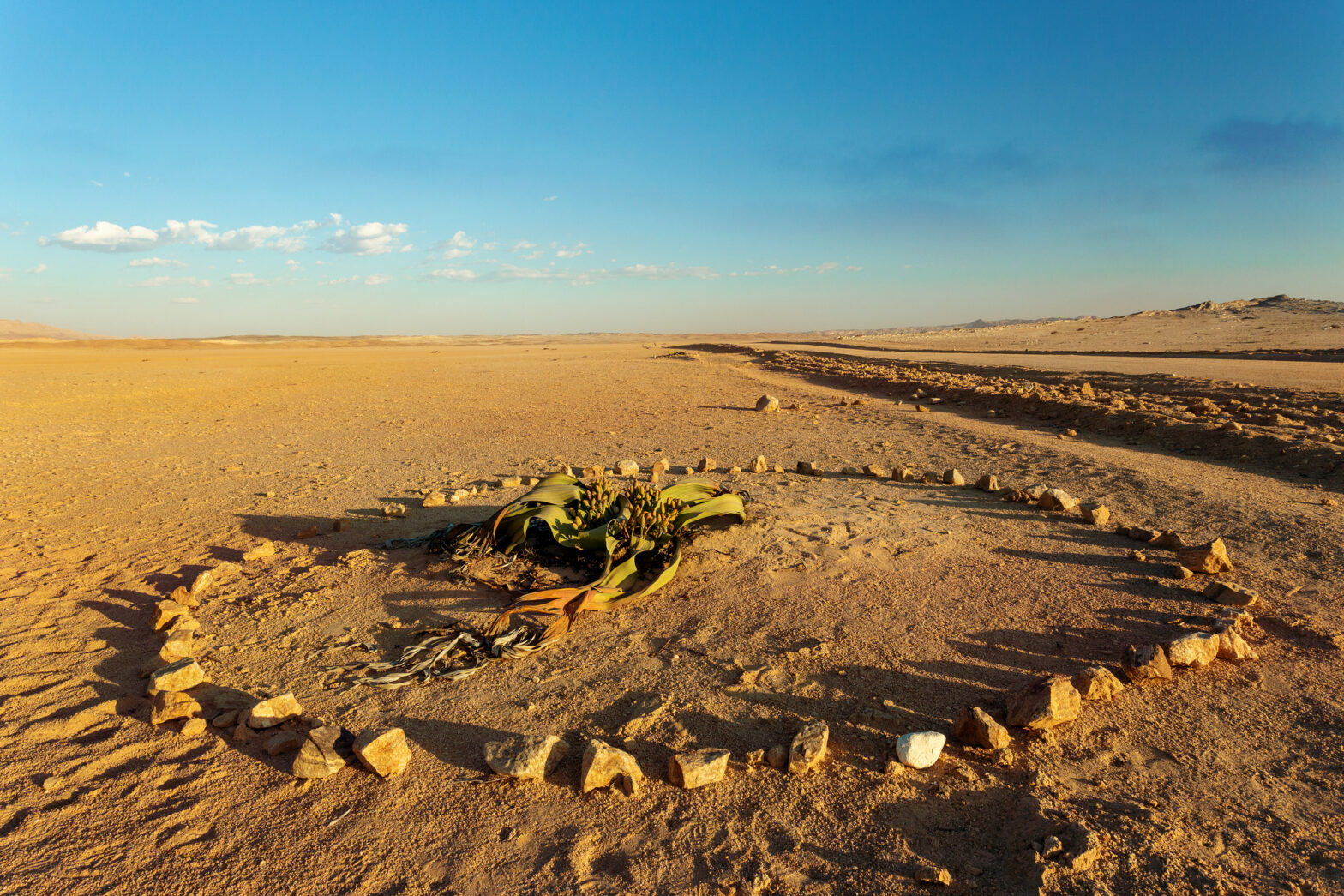16 Deserts With Underground Water Systems