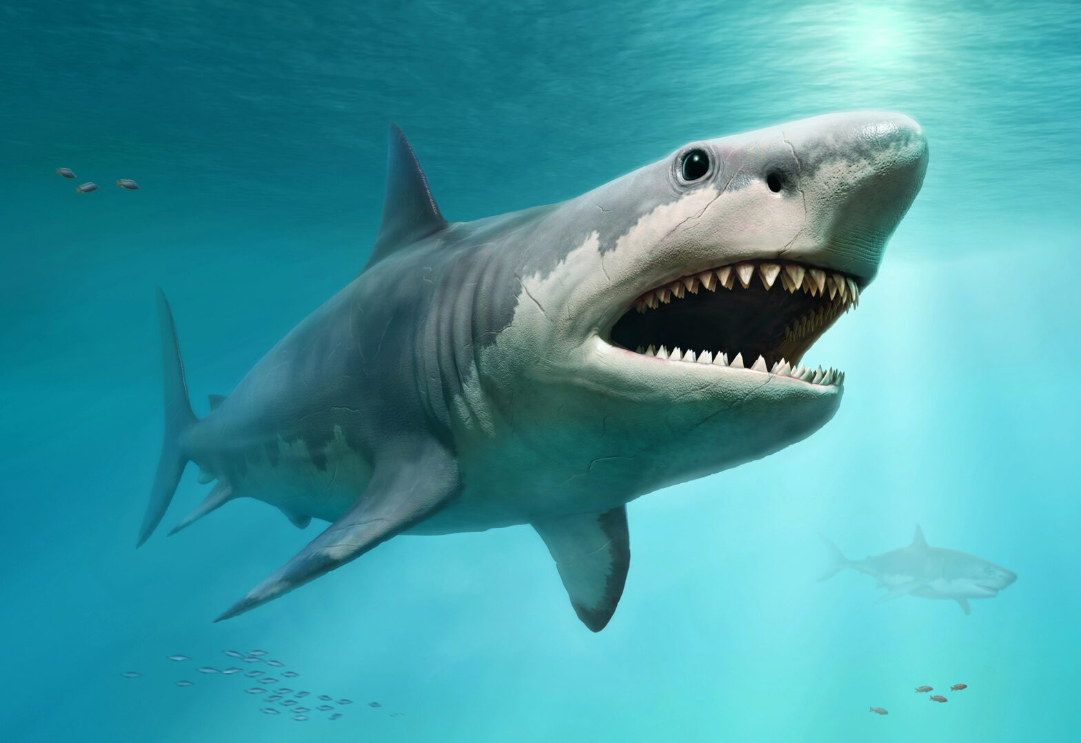 11 Animals That Use Electric Fields