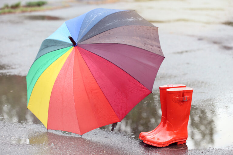 16 Everyday Things or Objects with Weird Names