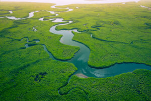 The 17 Most Bizarre Borders on the Planet