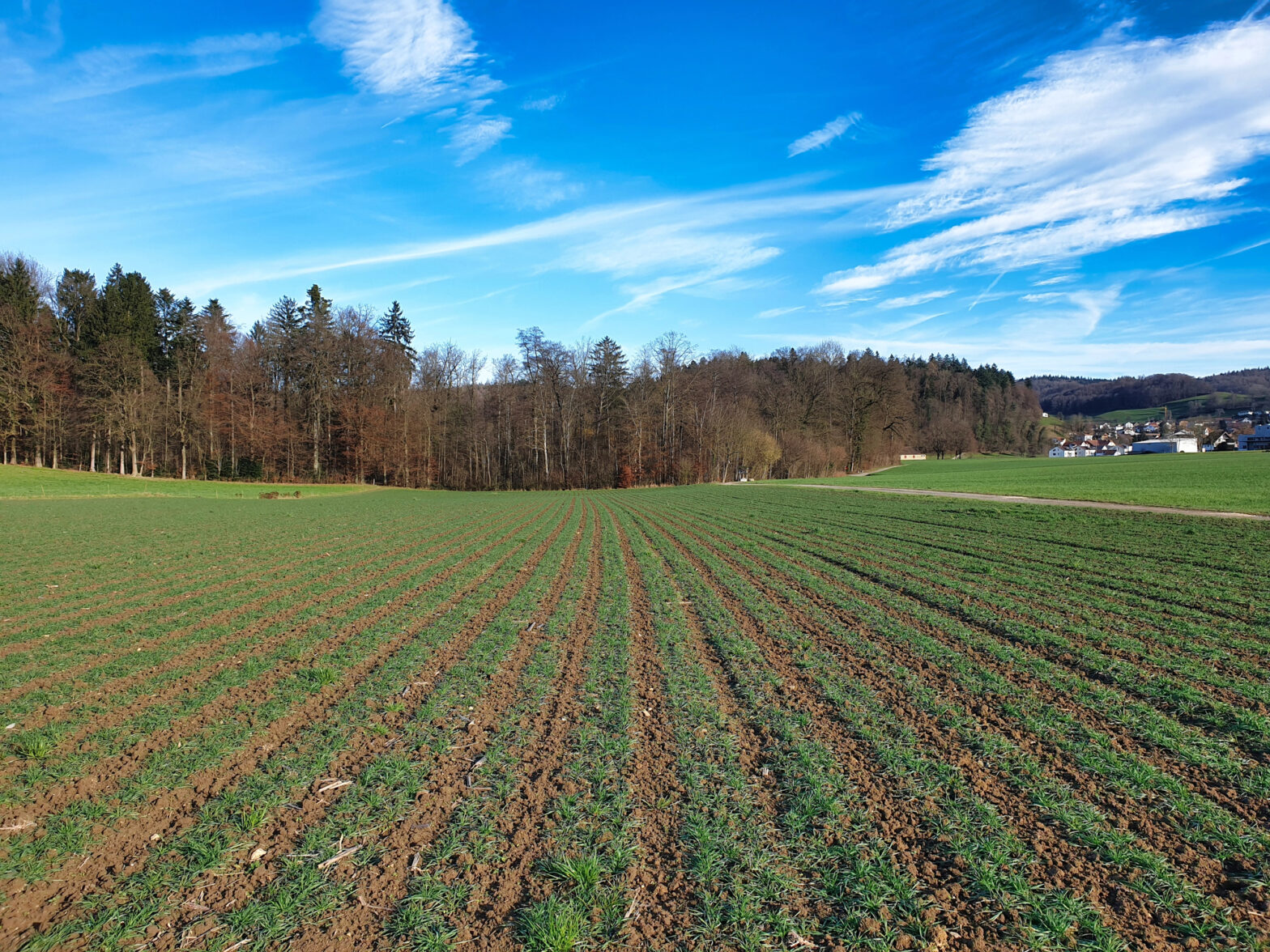 15 Ancient Agricultural Methods Still Used Today