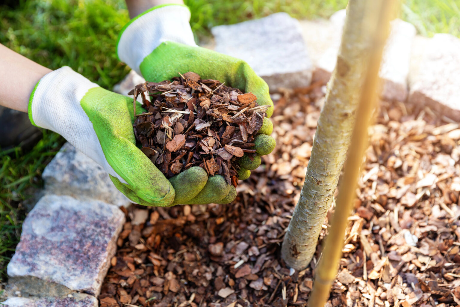 15 Ancient Agricultural Methods Still Used Today