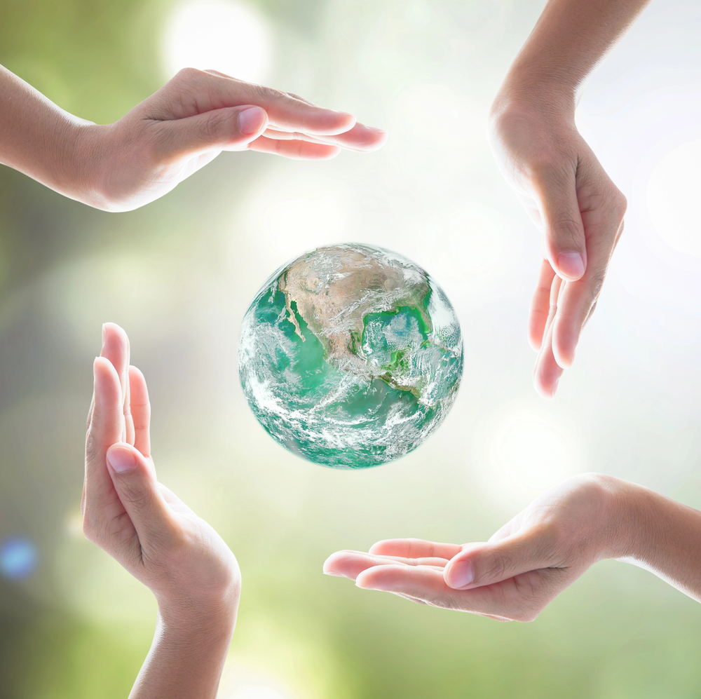 15 Natural Cycles That Take Exactly One Year to Complete