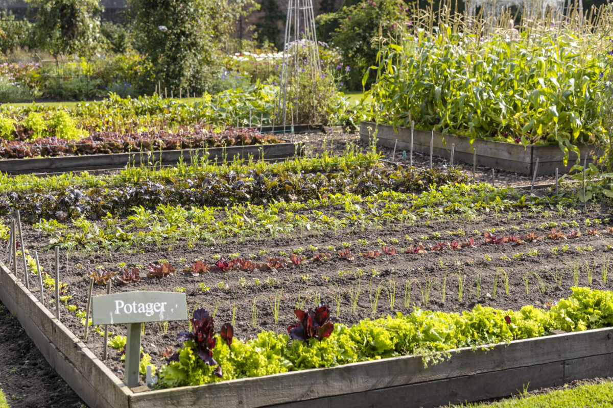 15 Ancient Agricultural Methods Still Used Today