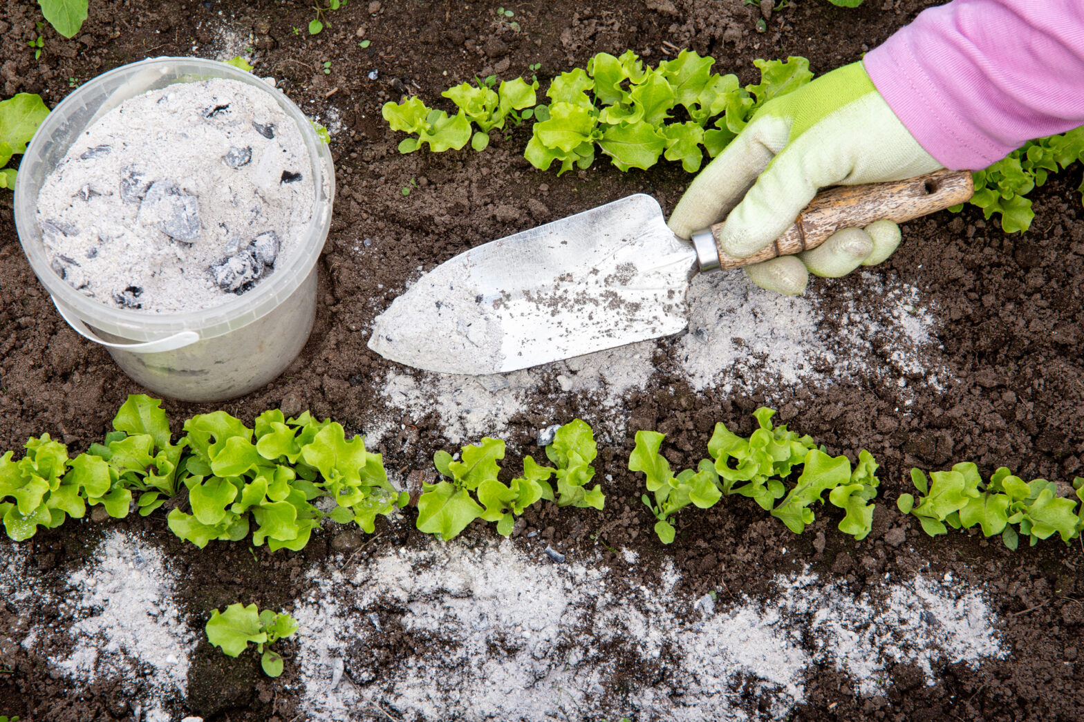 15 Ancient Agricultural Methods Still Used Today