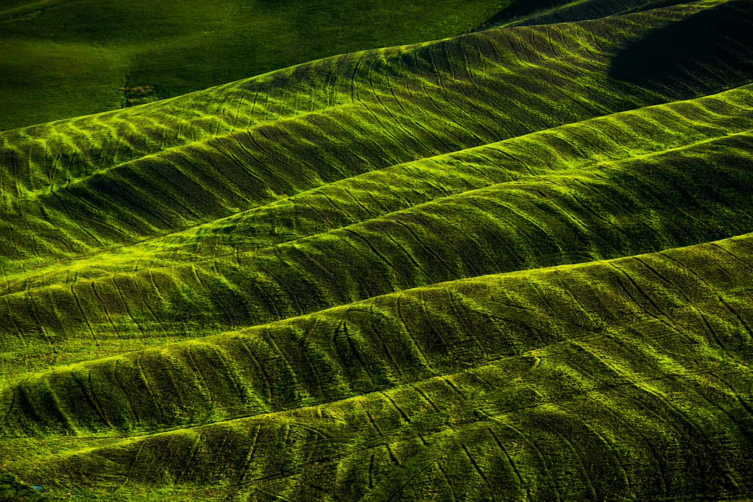 15 Ancient Agricultural Methods Still Used Today