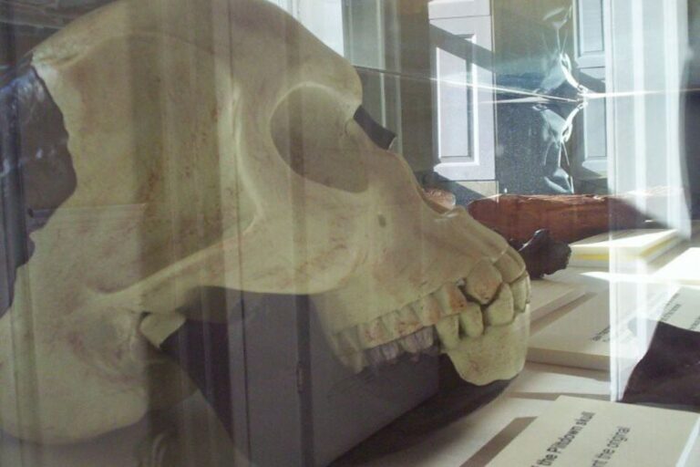 15 Famous Museum Artifacts That Turned Out to Be Fake