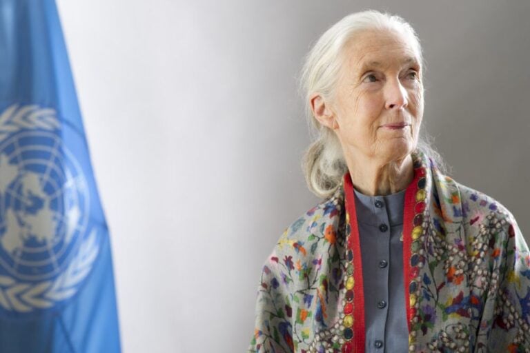 14 Scientists Who Became Famous Celebrities