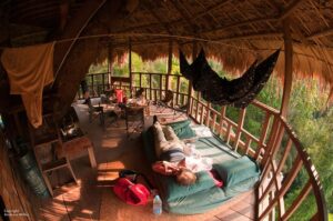 16 Treehouses People Actually Live In