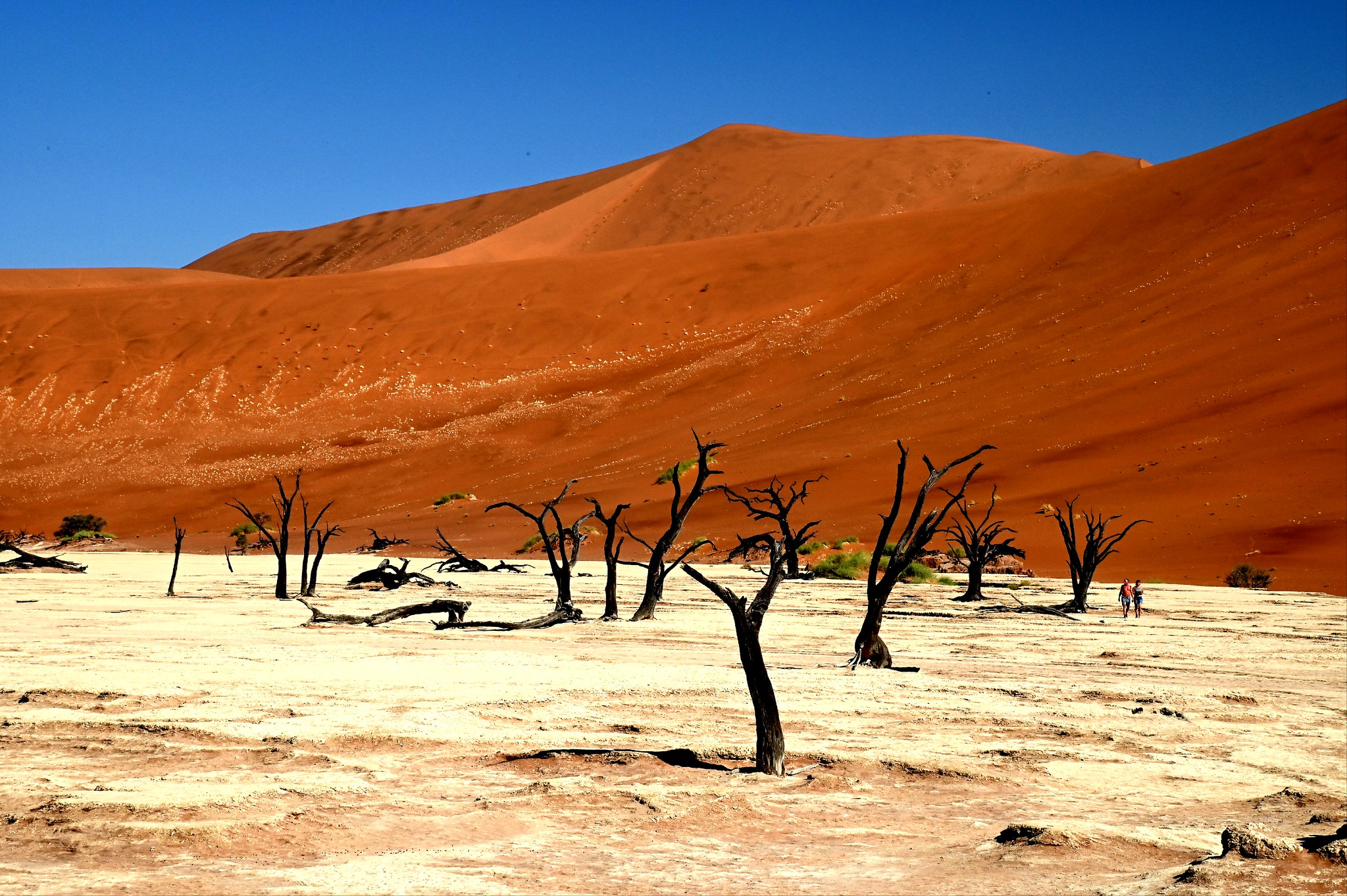 14 Weird Tourist Attractions That Went Viral