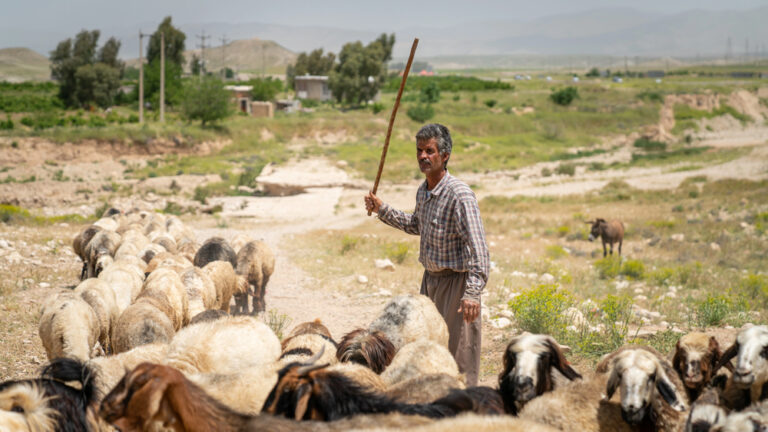 16 Lost Languages and How We Know of Them