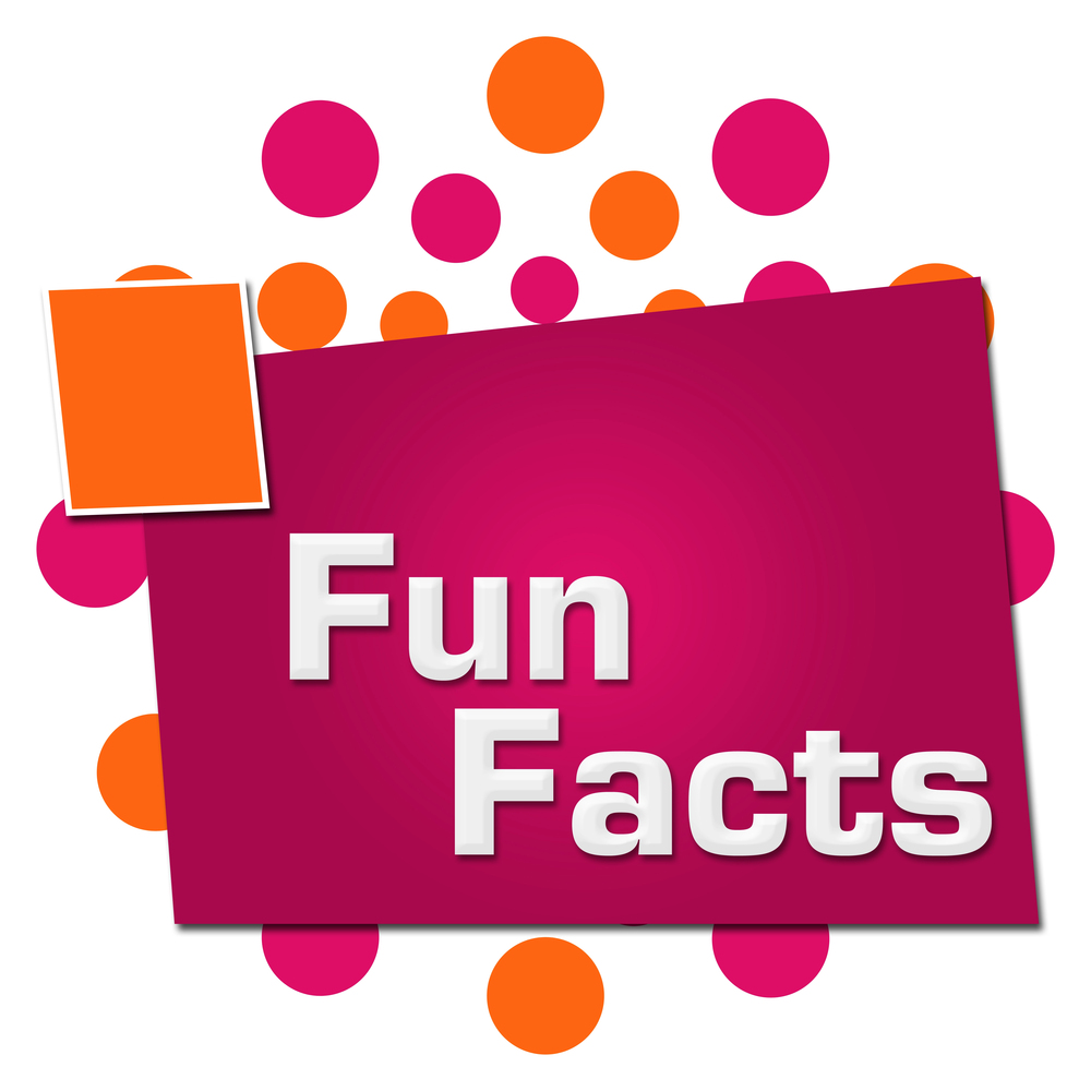 17 Fun Facts About Famous Amusement Parks