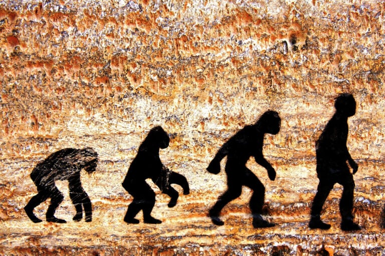 15 Myths About Evolution Still Believed